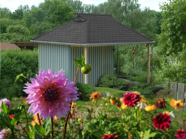 Easy-Shingle Standard: ardoises bitumineuses imputrescibles | Aquaplan